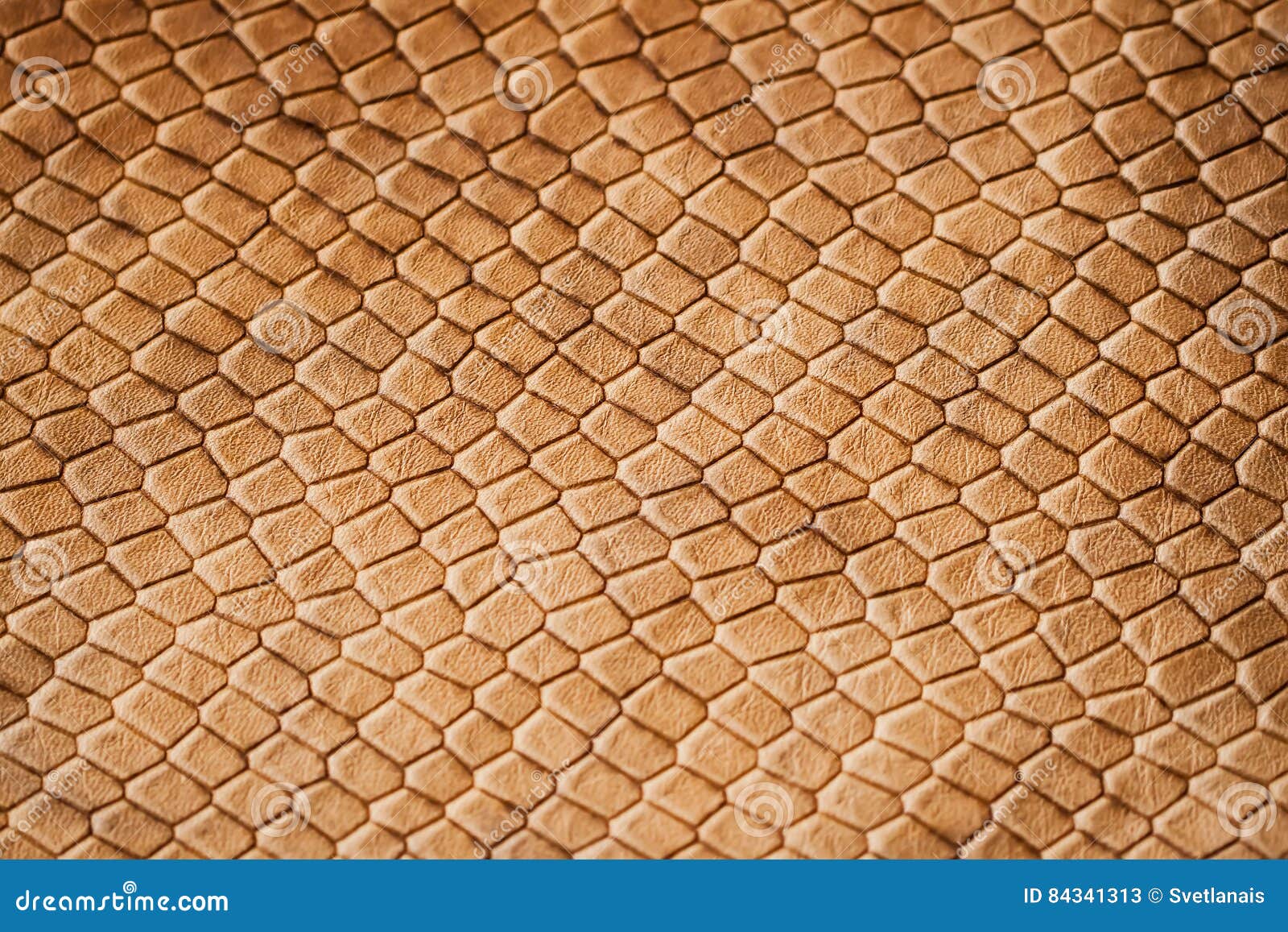 Texture of Genuine Leather Close-up, with Embossed Scales Reptiles, the ...
