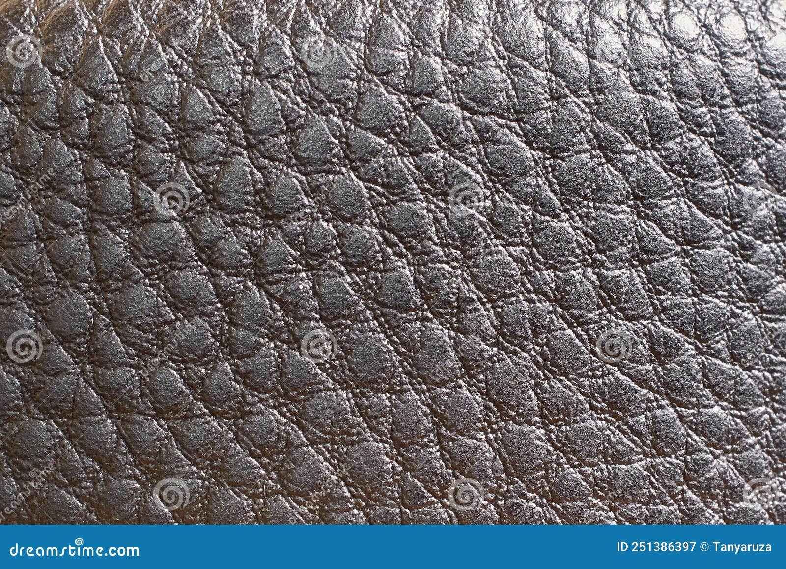 The Texture of Genuine Leather. Close-up, Horizontal Format Stock Image ...