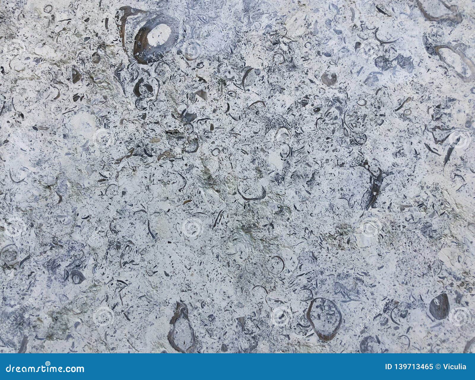 Texture of Granite Background. Granite Texture with Different Color ...