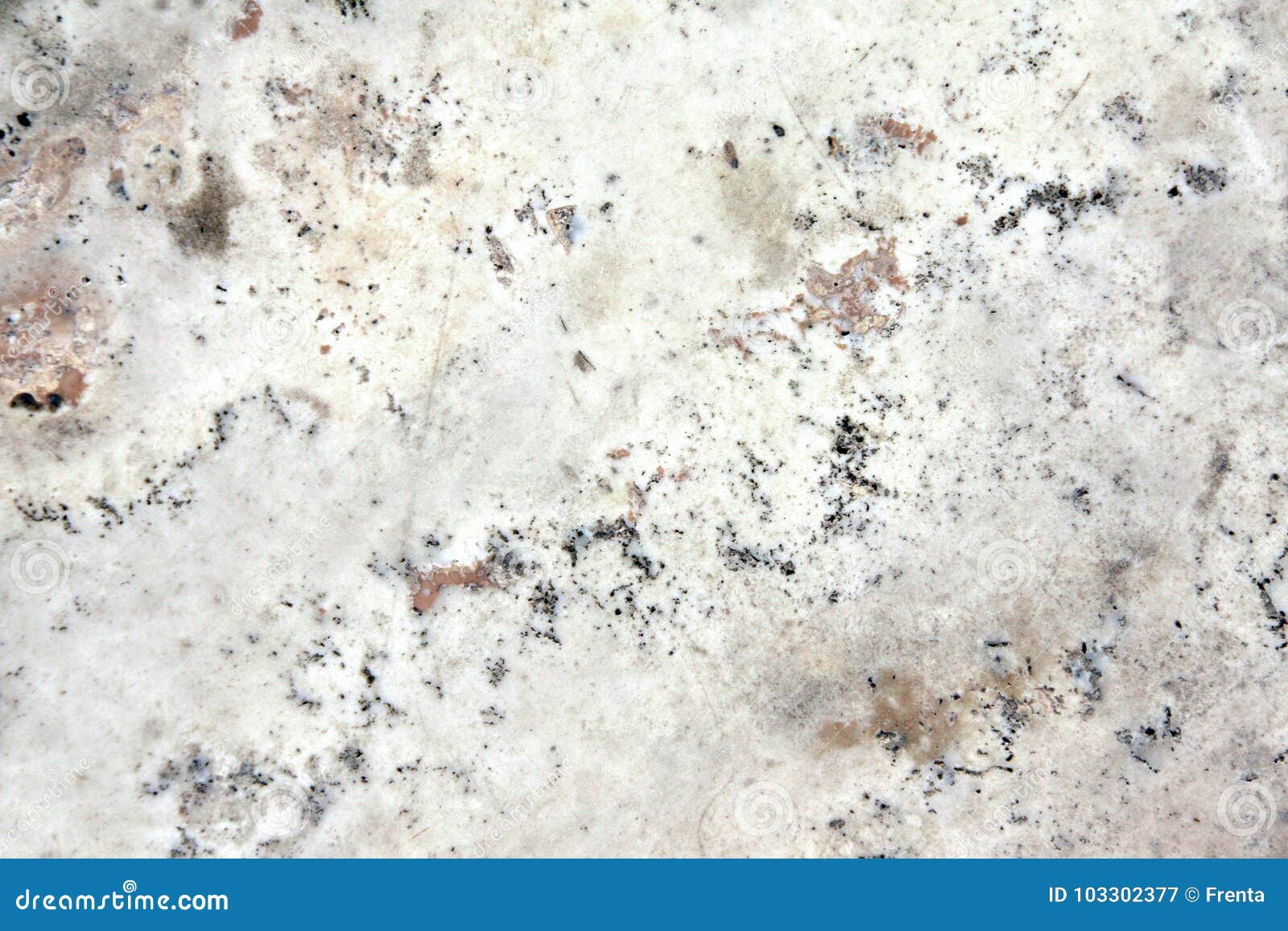Texture of Granite of Gray Color Stock Image - Image of stone, element ...