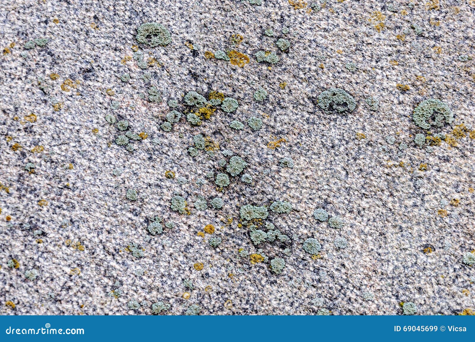Texture of the Granite Slab with Lichen Stock Image - Image of gray ...