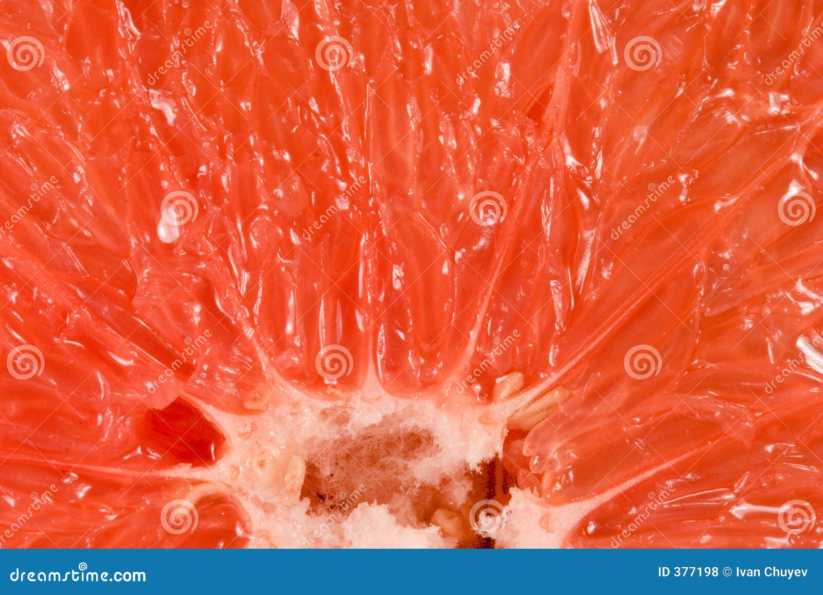 Texture of grapefruit stock photo. Image of healthly, juice - 377198
