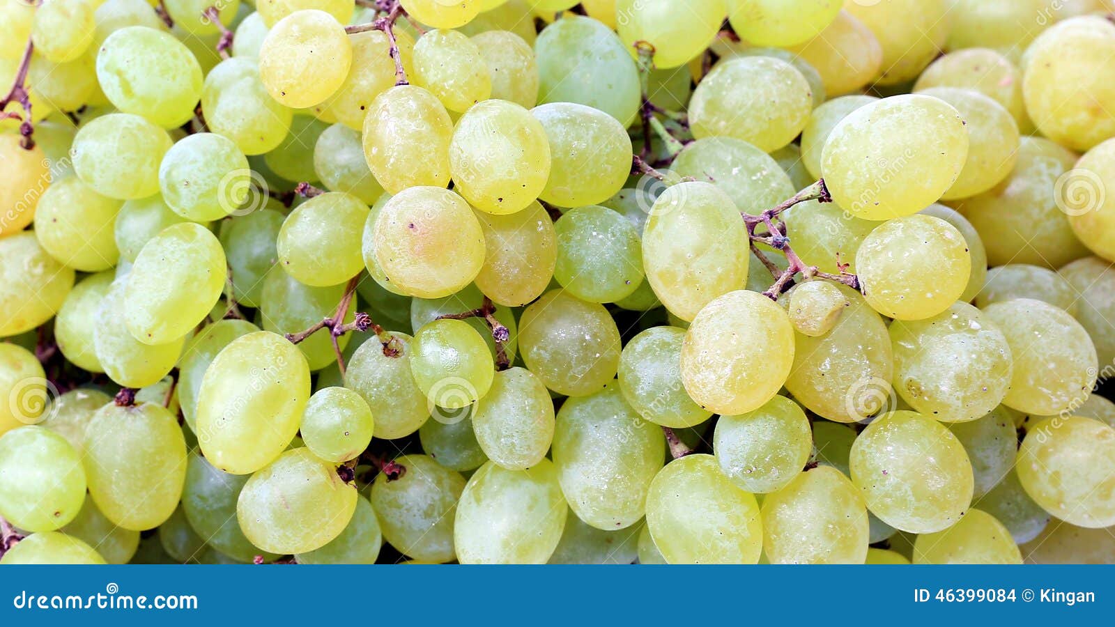 The Texture of Grapes Berries Stock Photo - Image of sweet, fruits ...