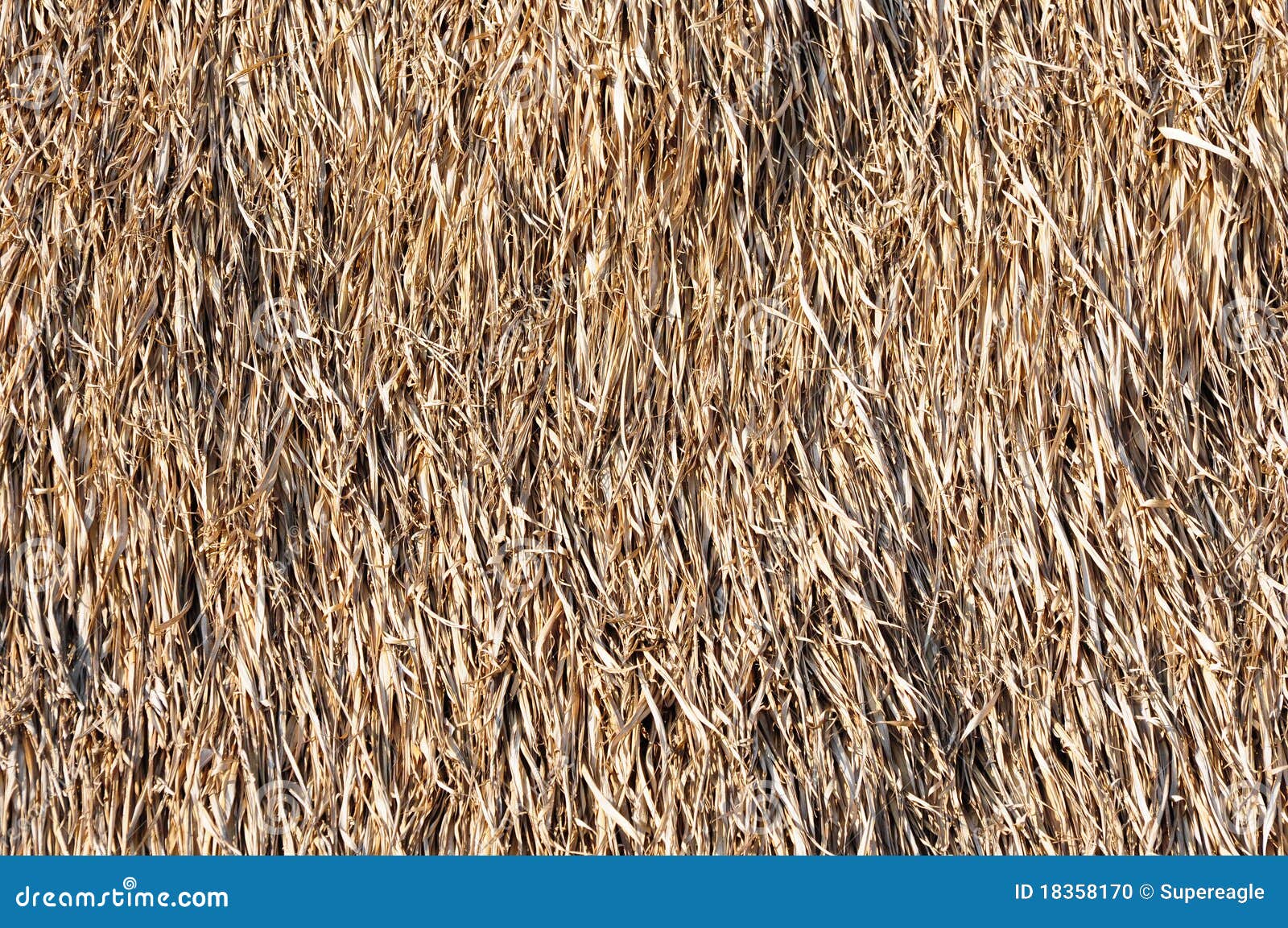 Texture of grass roof stock photo. Image of abstract - 18358170