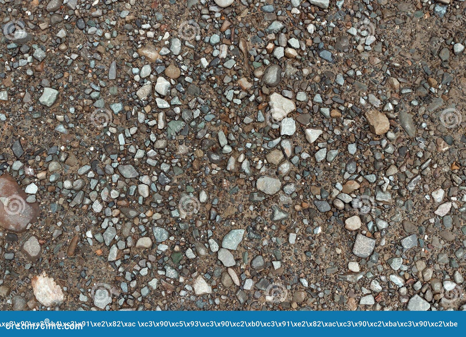 Texture Gravel on the Ground, Small Pebbles in the Sand Stock Image ...