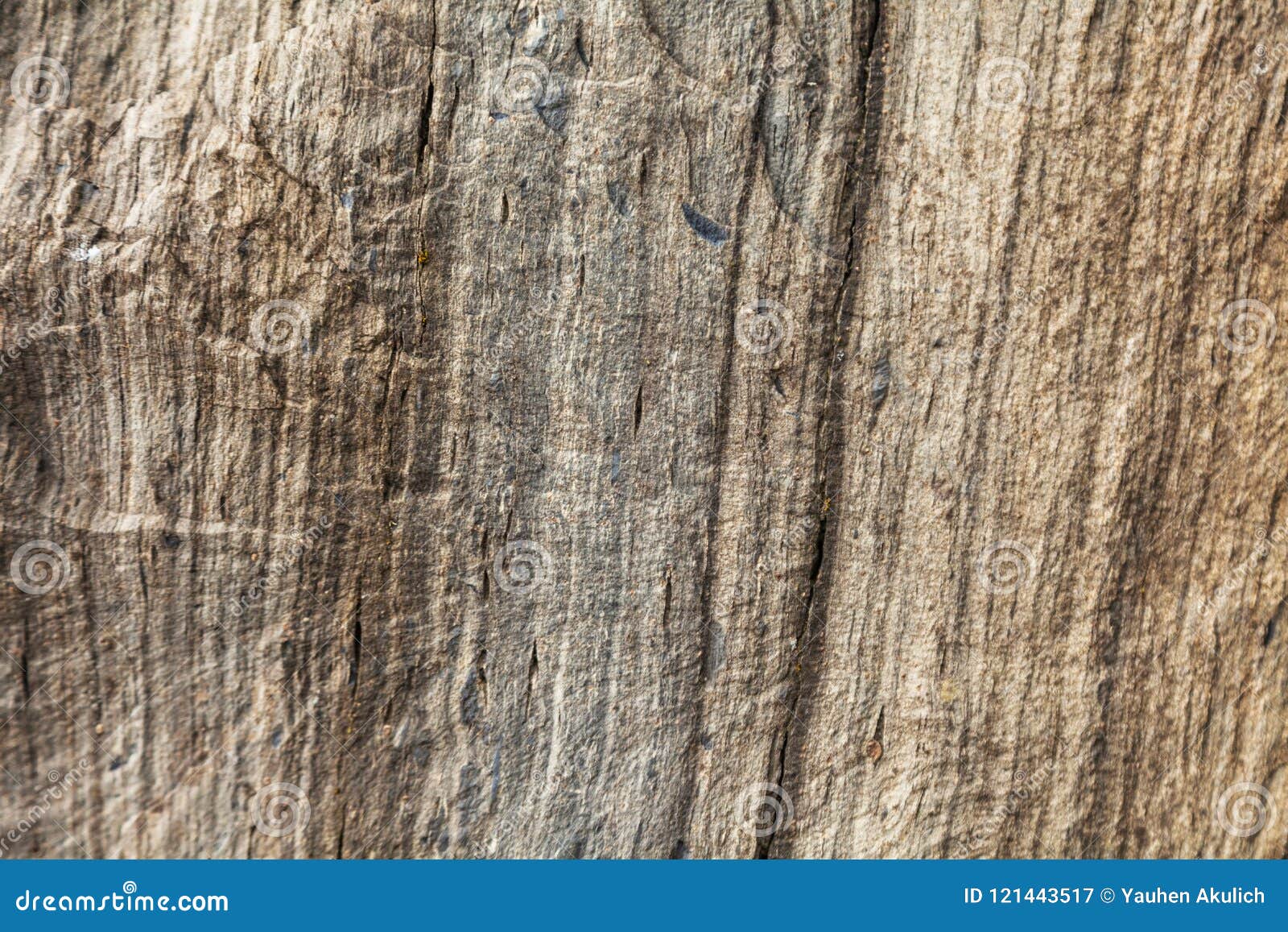 Texture of a Gray Brown Stone Stock Image - Image of backdrop ...