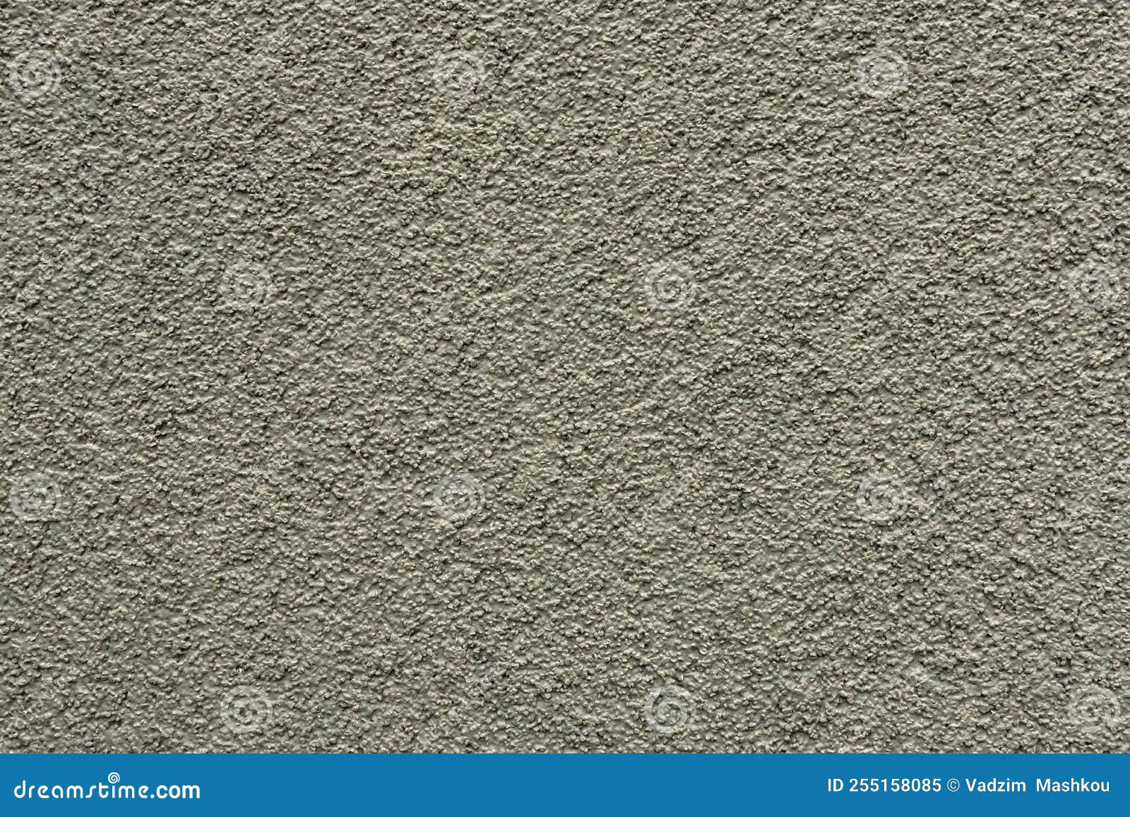 Texture of Gray Cement Plaster. Background of Fine-grained Plaster ...