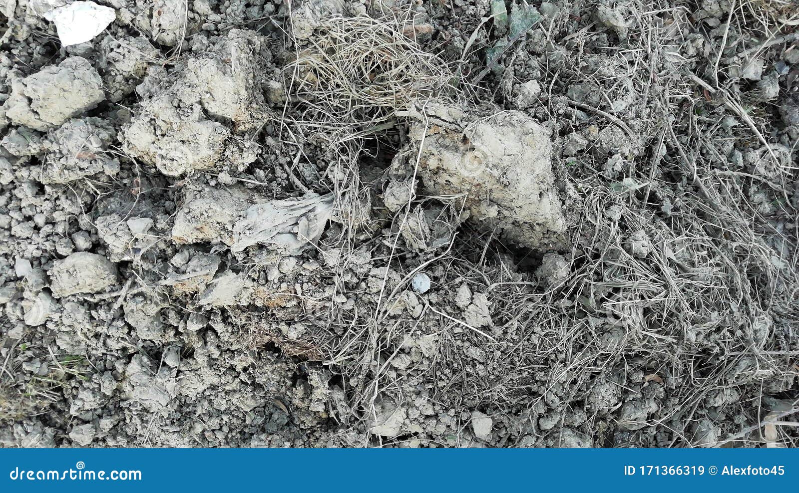 The texture of gray earth stock image. Image of design - 171366319