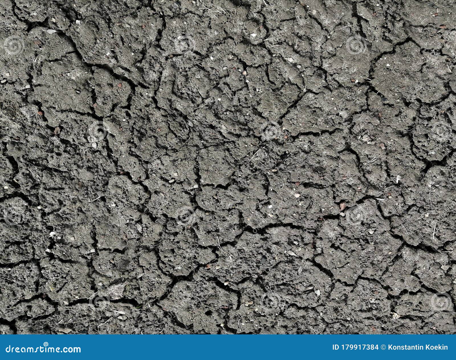 Texture of the Gray Earth with Cracks after the Earthquake Stock Photo ...