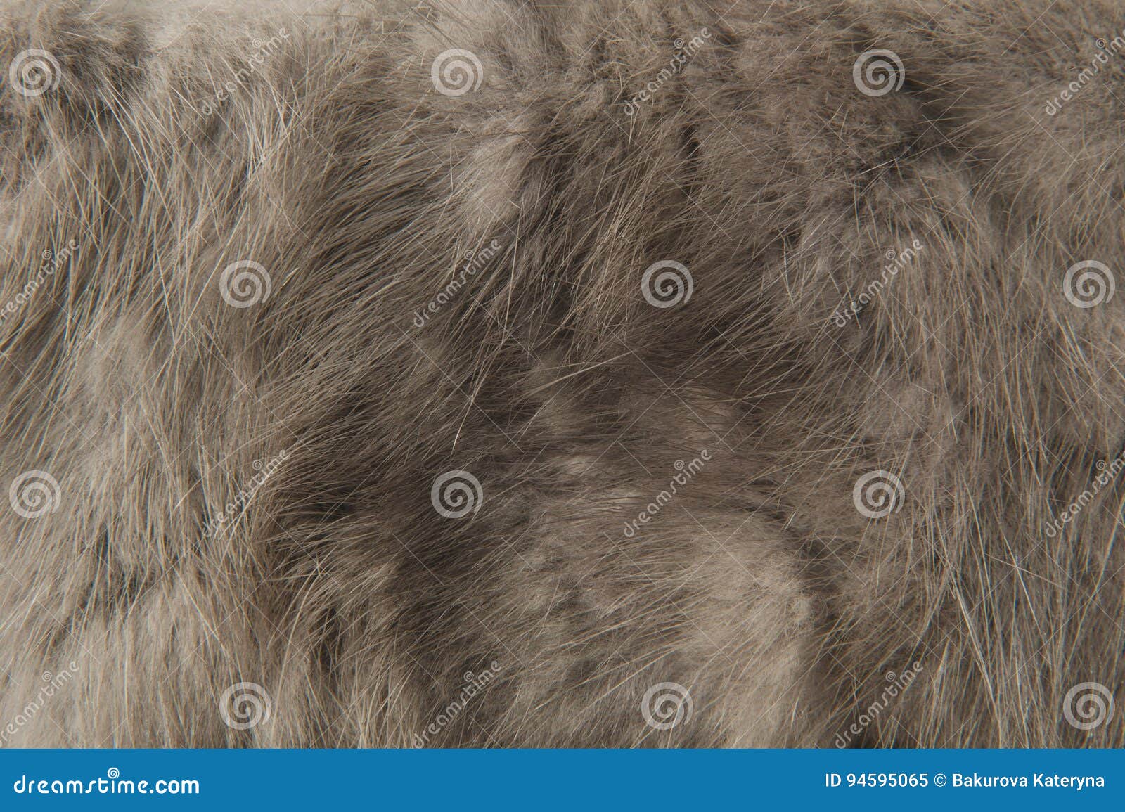 Texture gray fur stock image. Image of white, polar, faux - 94595065