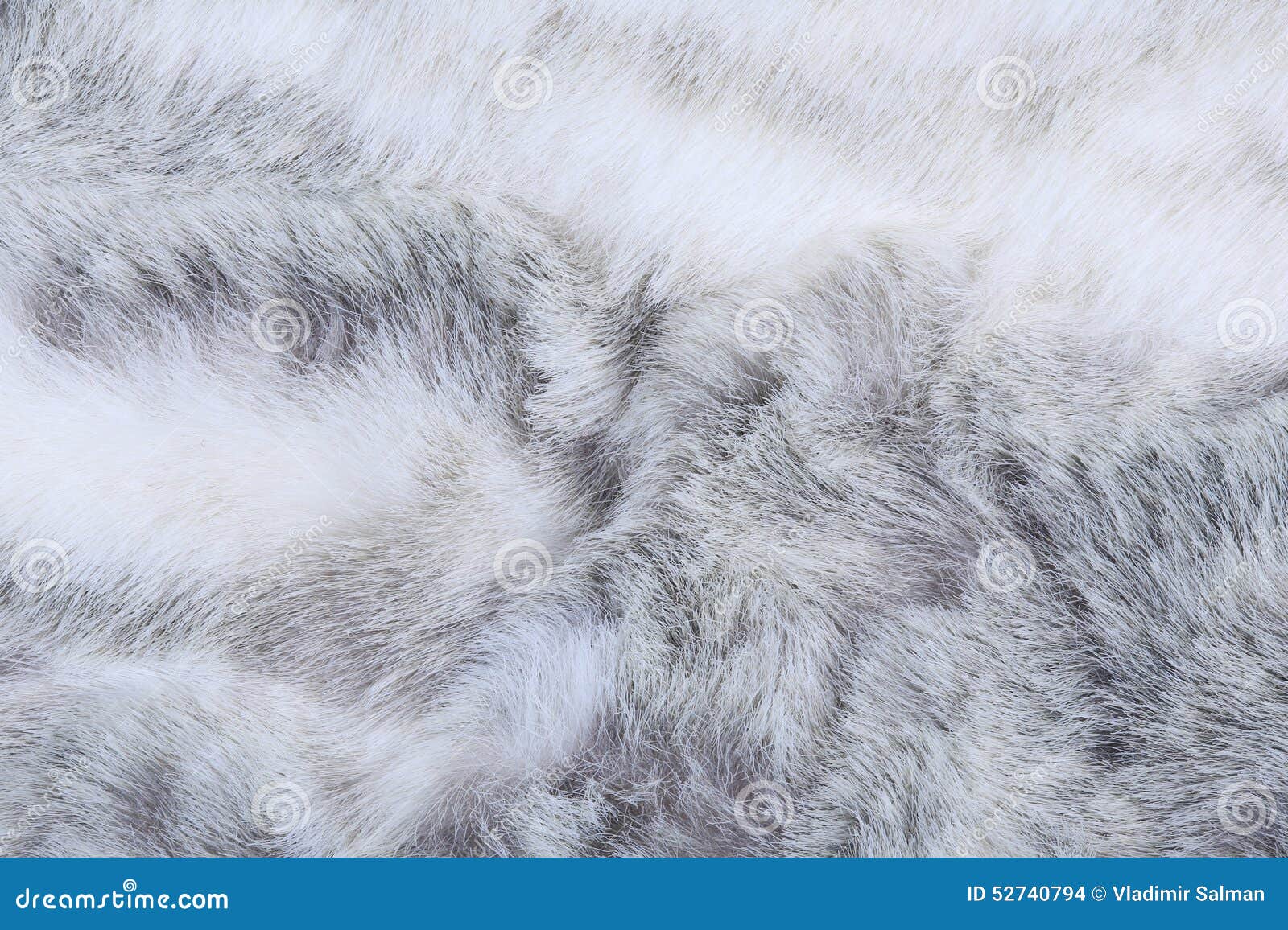 Texture of gray fur stock photo. Image of gray, wallpaper - 52740794
