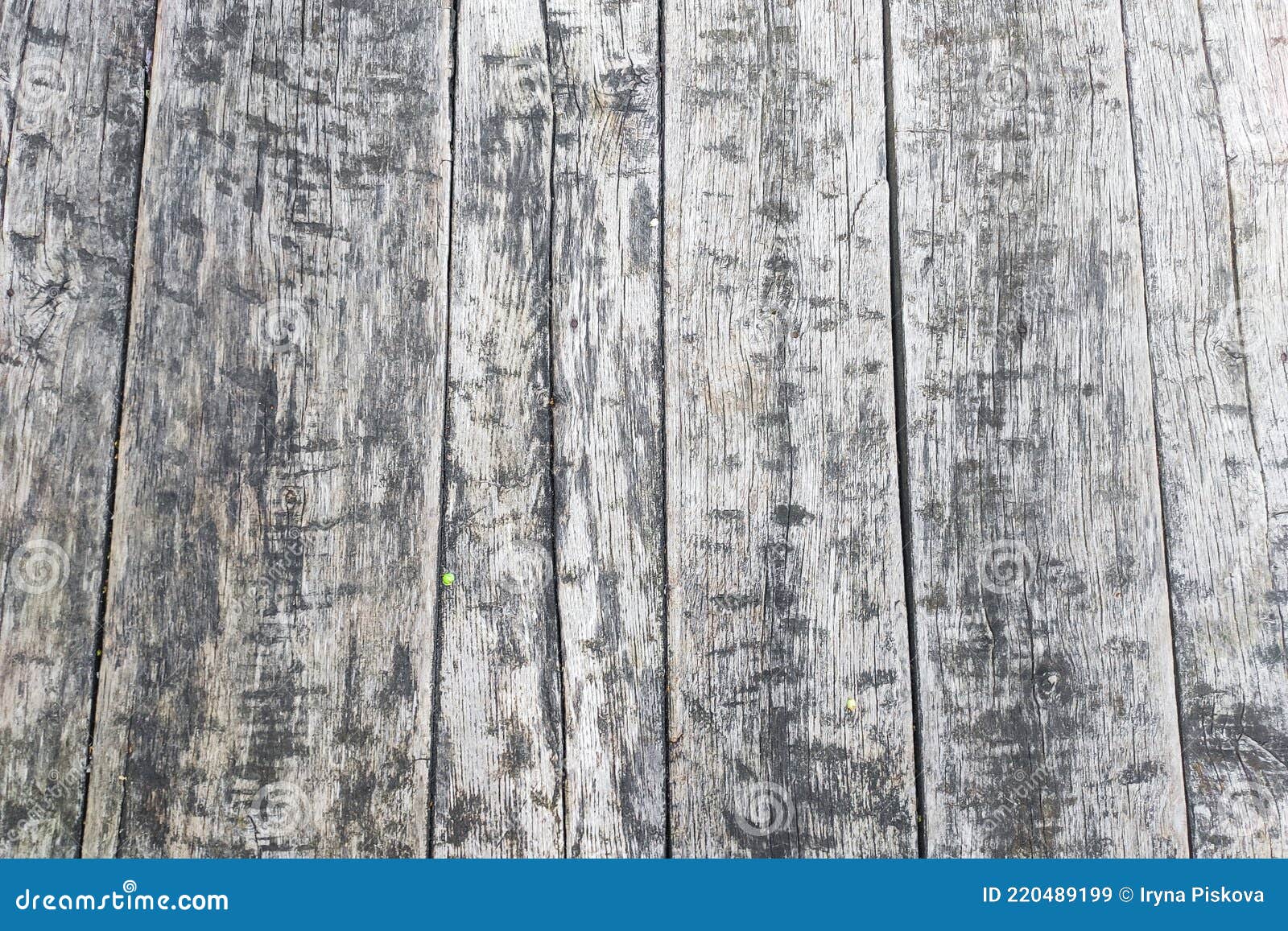 Texture Gray Old Wooden Castle Defense Wall. Stock Image - Image of ...