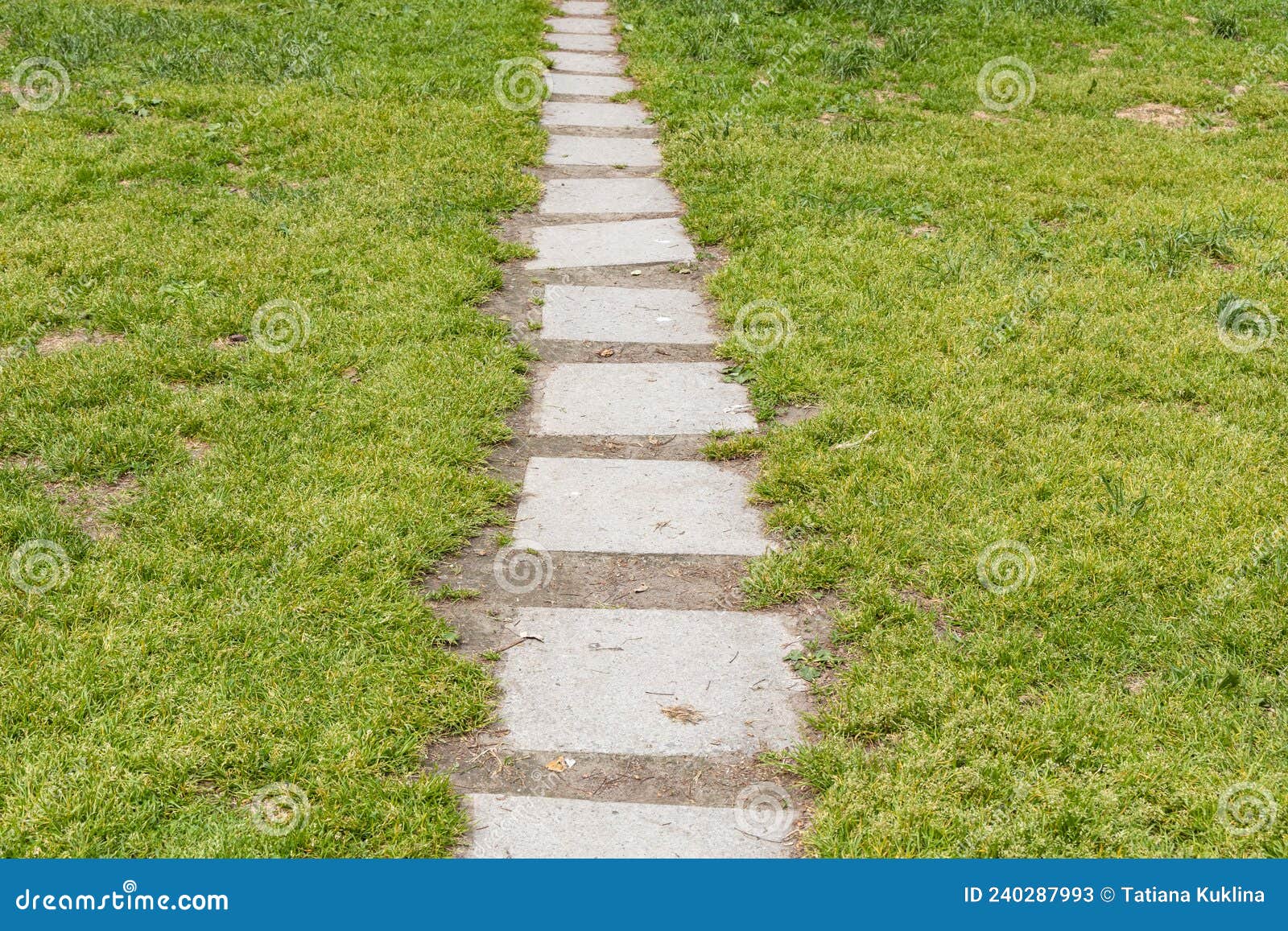 Texture of Gray Path from Square Concrete Slabs among Green Grass is in ...