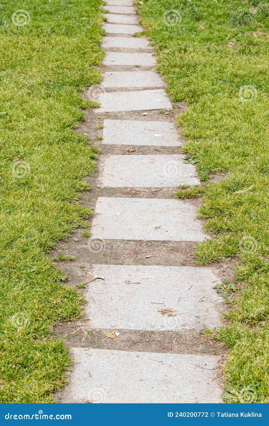 Texture of Gray Path from Square Concrete Slabs among Green Grass is in ...