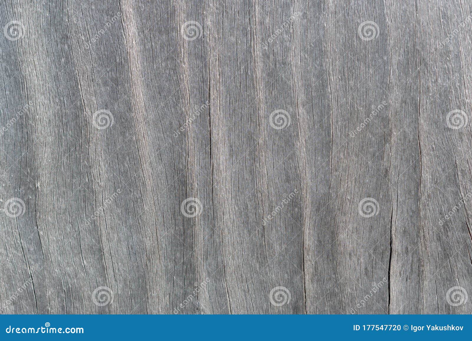 Texture of Gray Plywood Wall with Small Waves Stock Photo - Image of ...