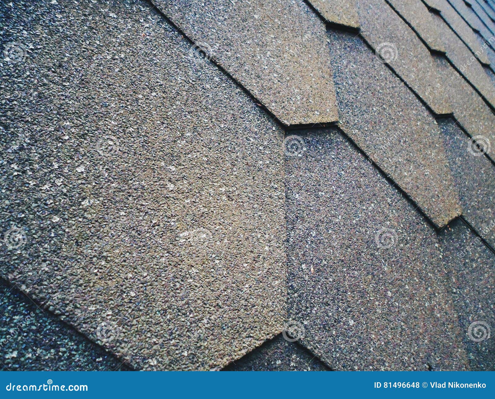 Texture gray shingles stock photo. Image of gray, shingles - 81496648
