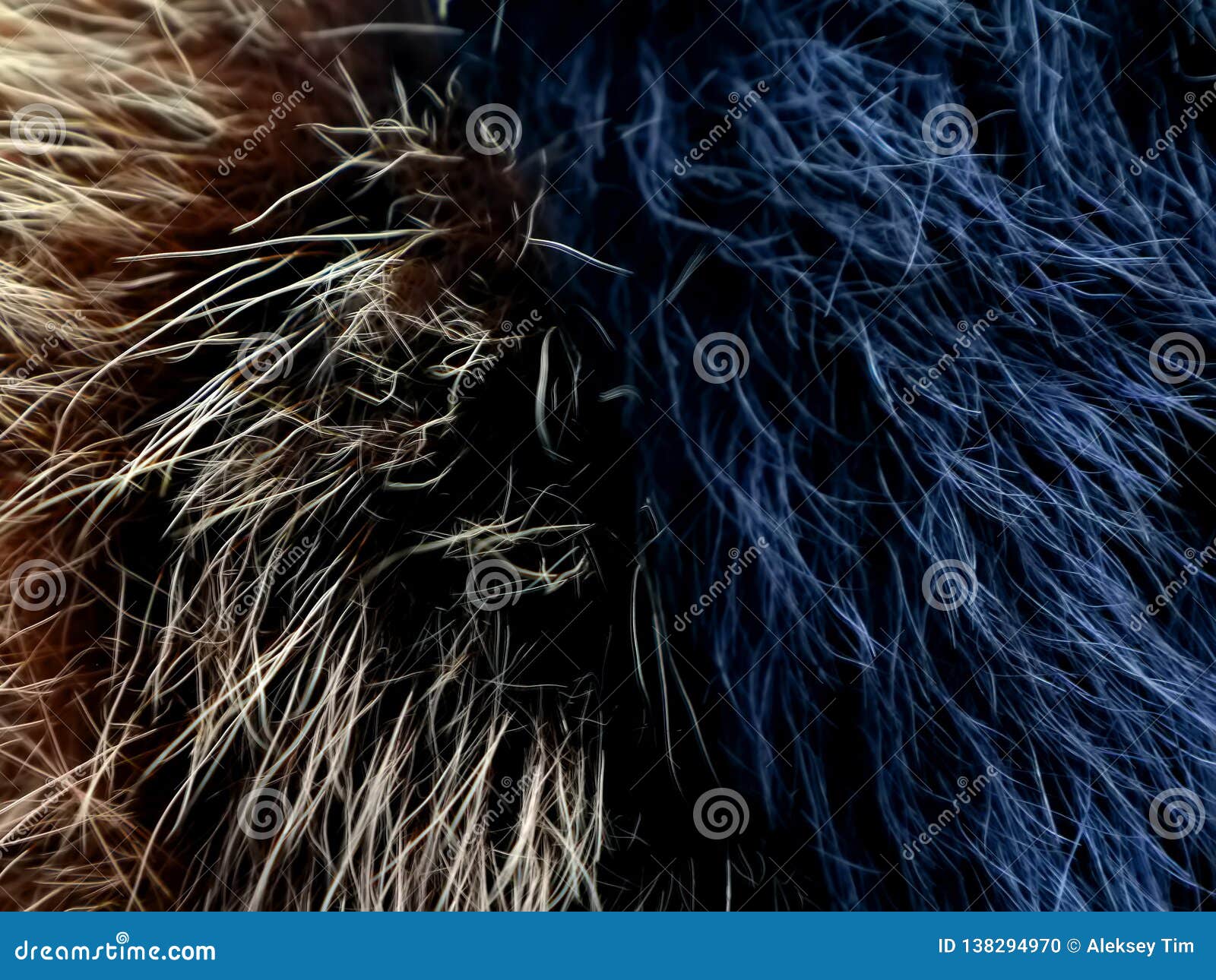 Texture of Gray Wolf Hair Fur. Texture of Fur. Wool of Wolf. Wool of ...