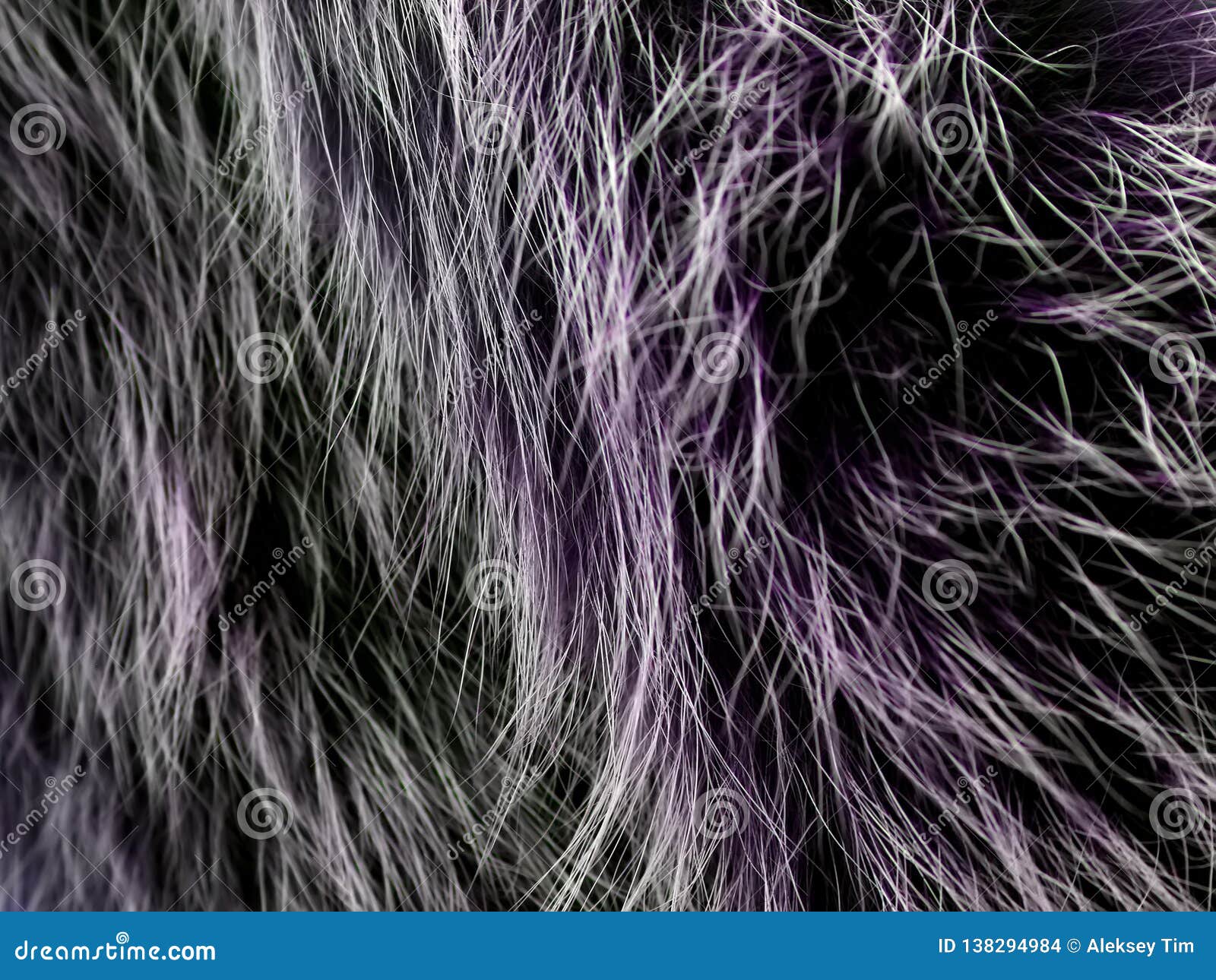 Texture of Gray Wolf Hair Fur. Texture of Fur. Wool of Wolf. Wool of ...