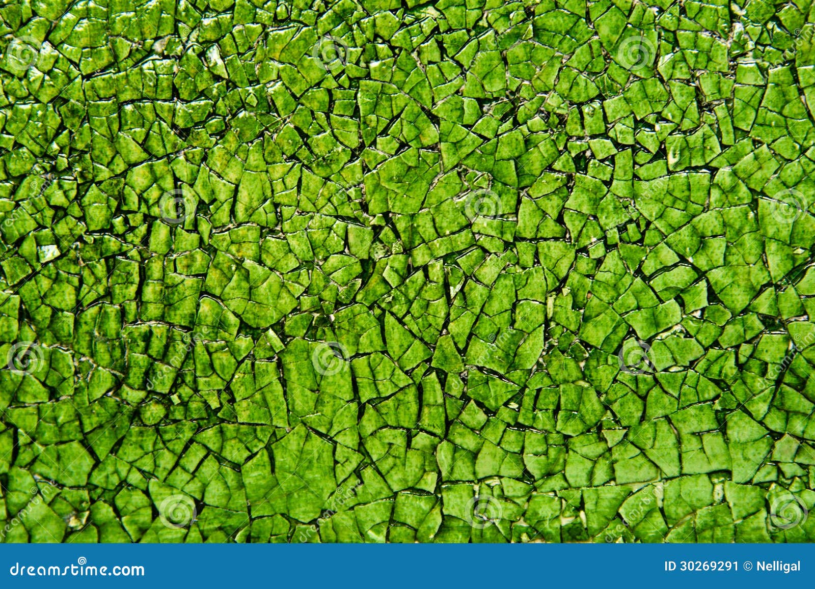 The Texture of the Eggshell Stock Image - Image of abstract, decoration ...