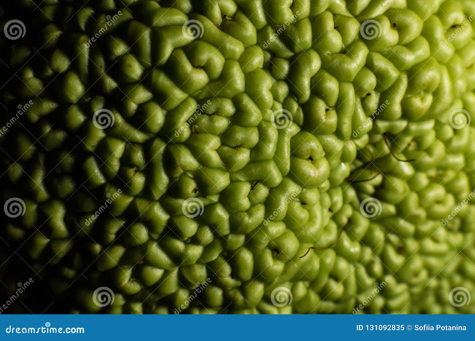 Texture of Green Fruit Rind Macro Closeup Stock Image - Image of ...