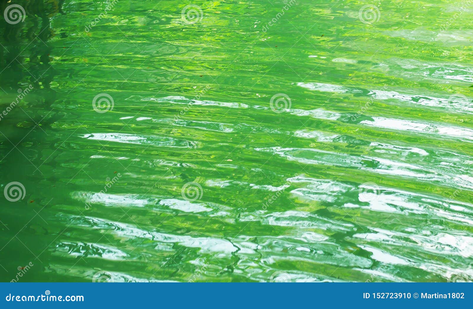 Texture of Green River Water Stock Photo - Image of blue, calm: 152723910