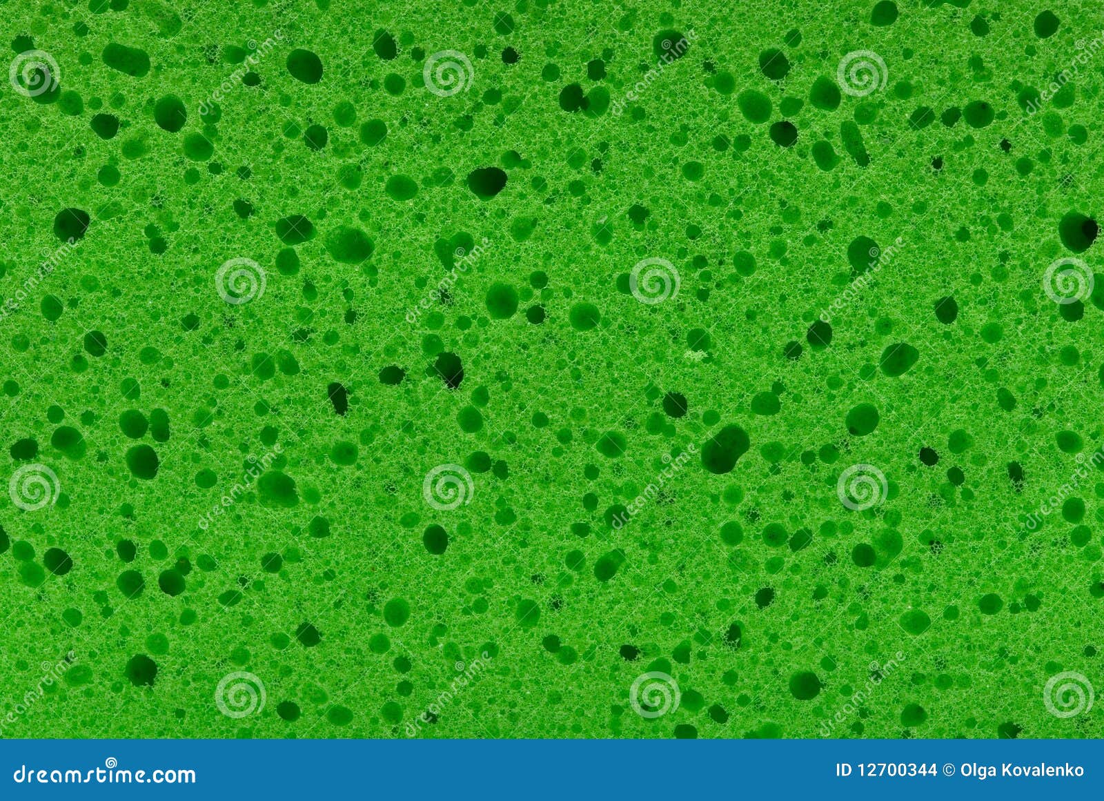 Texture of green sponge stock photo. Image of handy, scrubber - 12700344