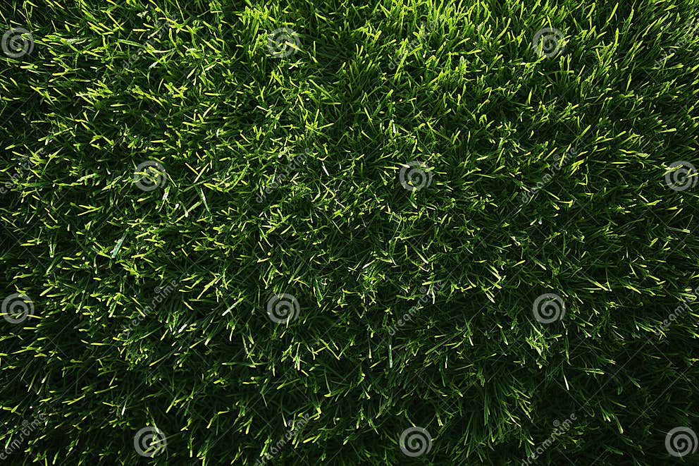 Texture of Green Thick Lawn, Horizontal Background. Generated by ...