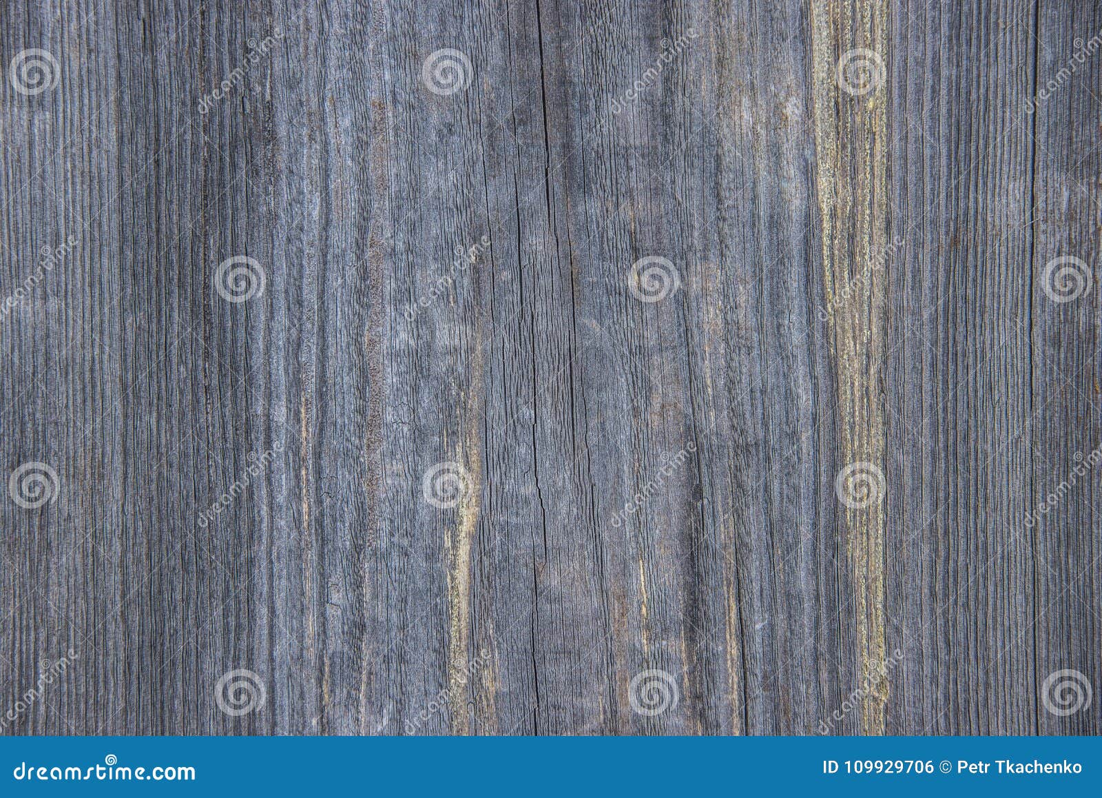 The texture of grey Board stock photo. Image of copy - 109929706