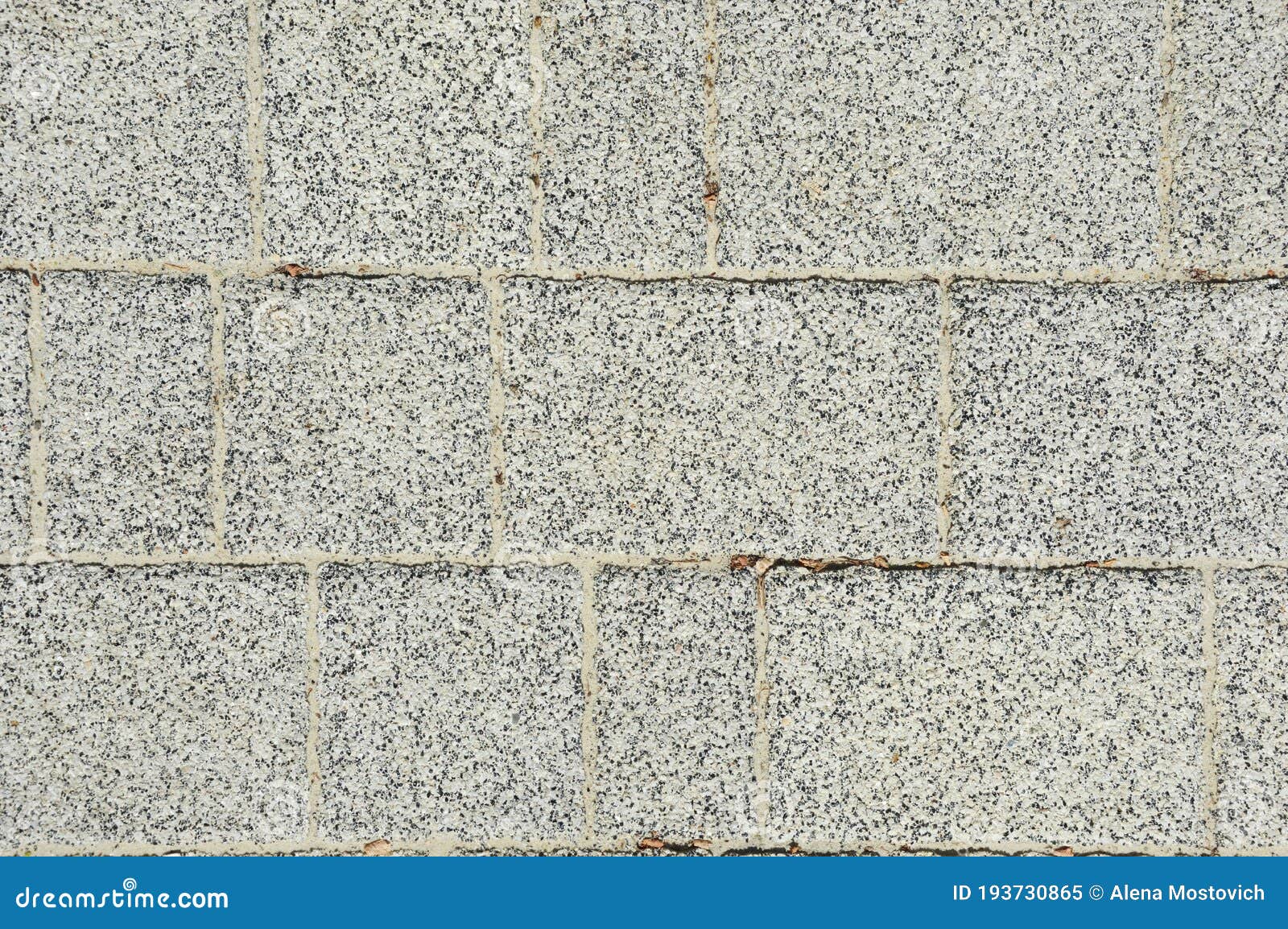 Road Tiles With Knotweed Royalty-Free Stock Photo | CartoonDealer.com ...