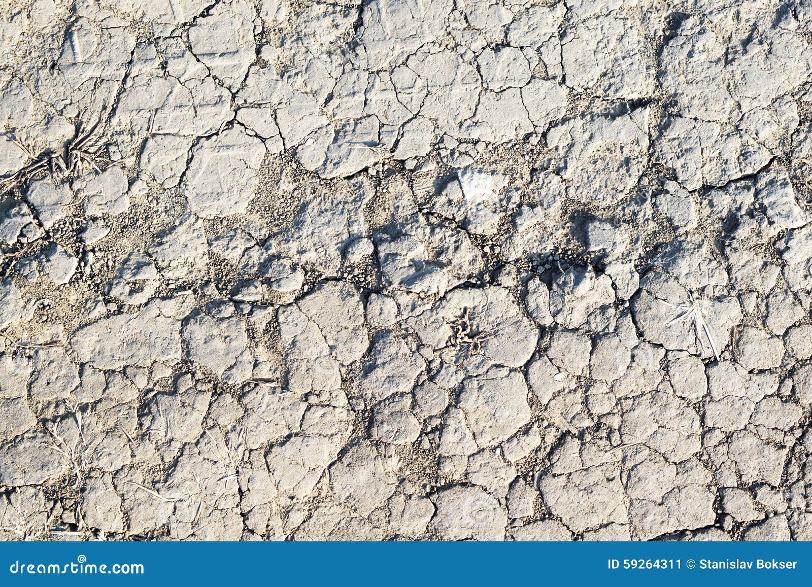 Texture of Grey Withered Earth Stock Image - Image of desert, cream ...