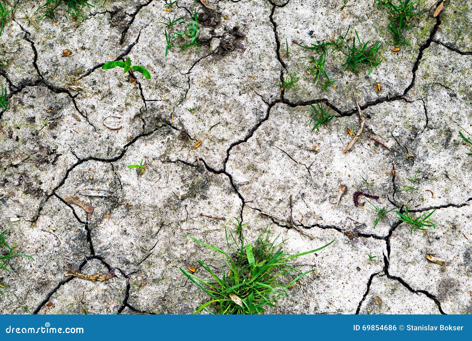 Texture of Grey Withered Earth with Cracks and Green Grass Stock Photo ...