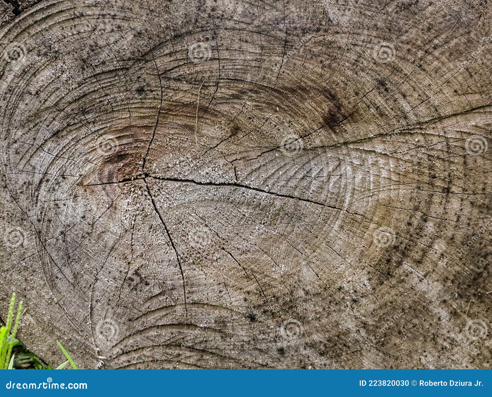 Texture and Grooves of a Wood Stock Photo - Image of closeup, natural ...