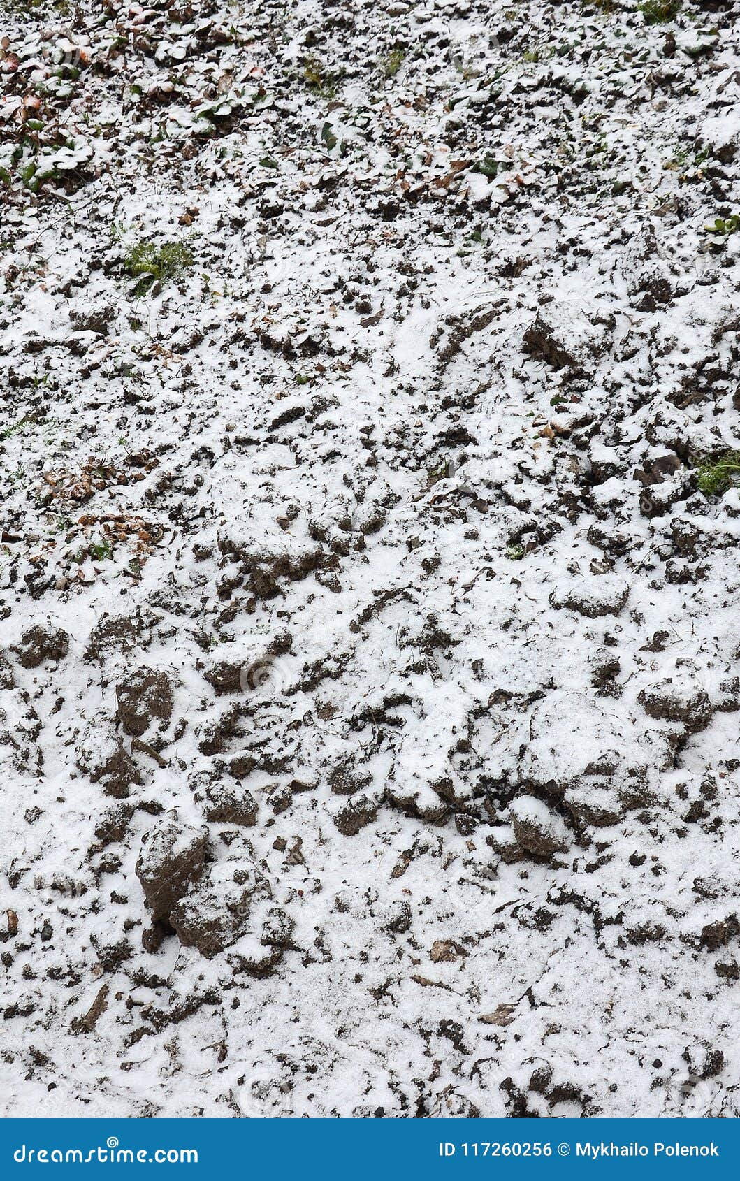 The Texture of the Ground, Covered with a Thin Layer of Snow. the Soil ...