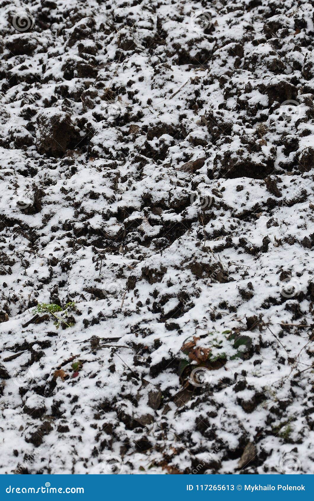 The Texture of the Ground, Covered with a Thin Layer of Snow. the Soil ...