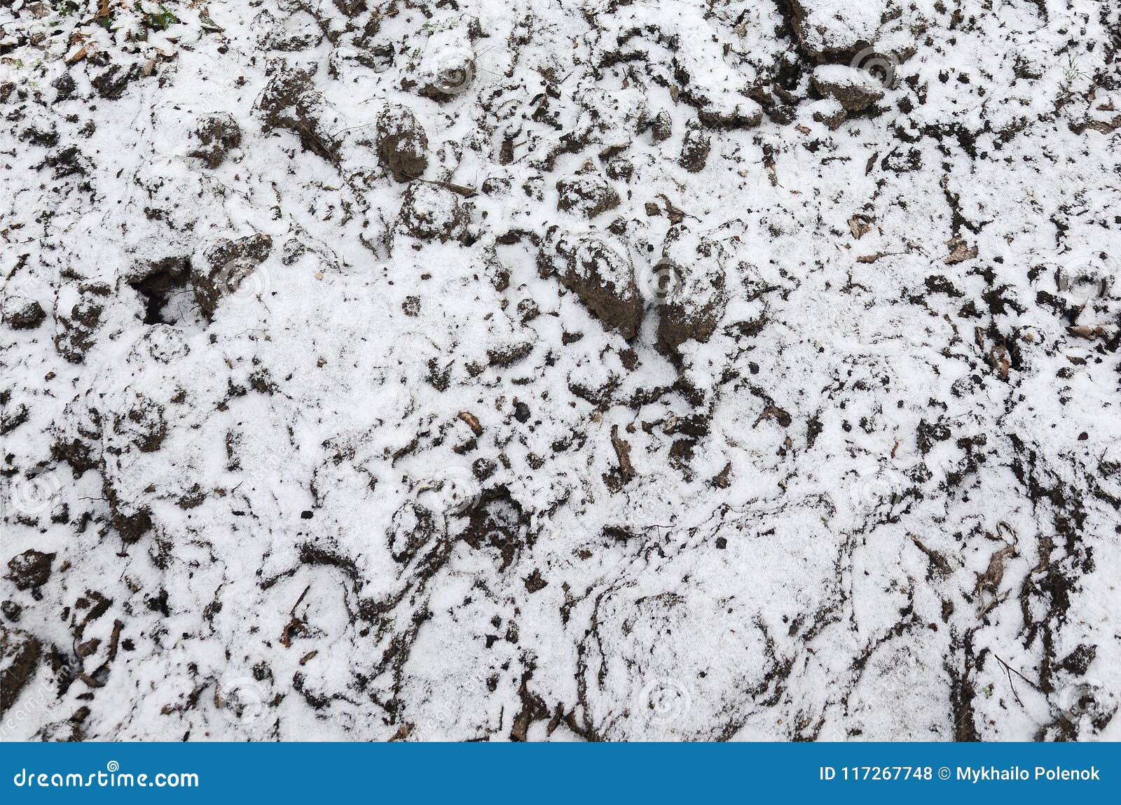 The Texture of the Ground, Covered with a Thin Layer of Snow. the Soil ...