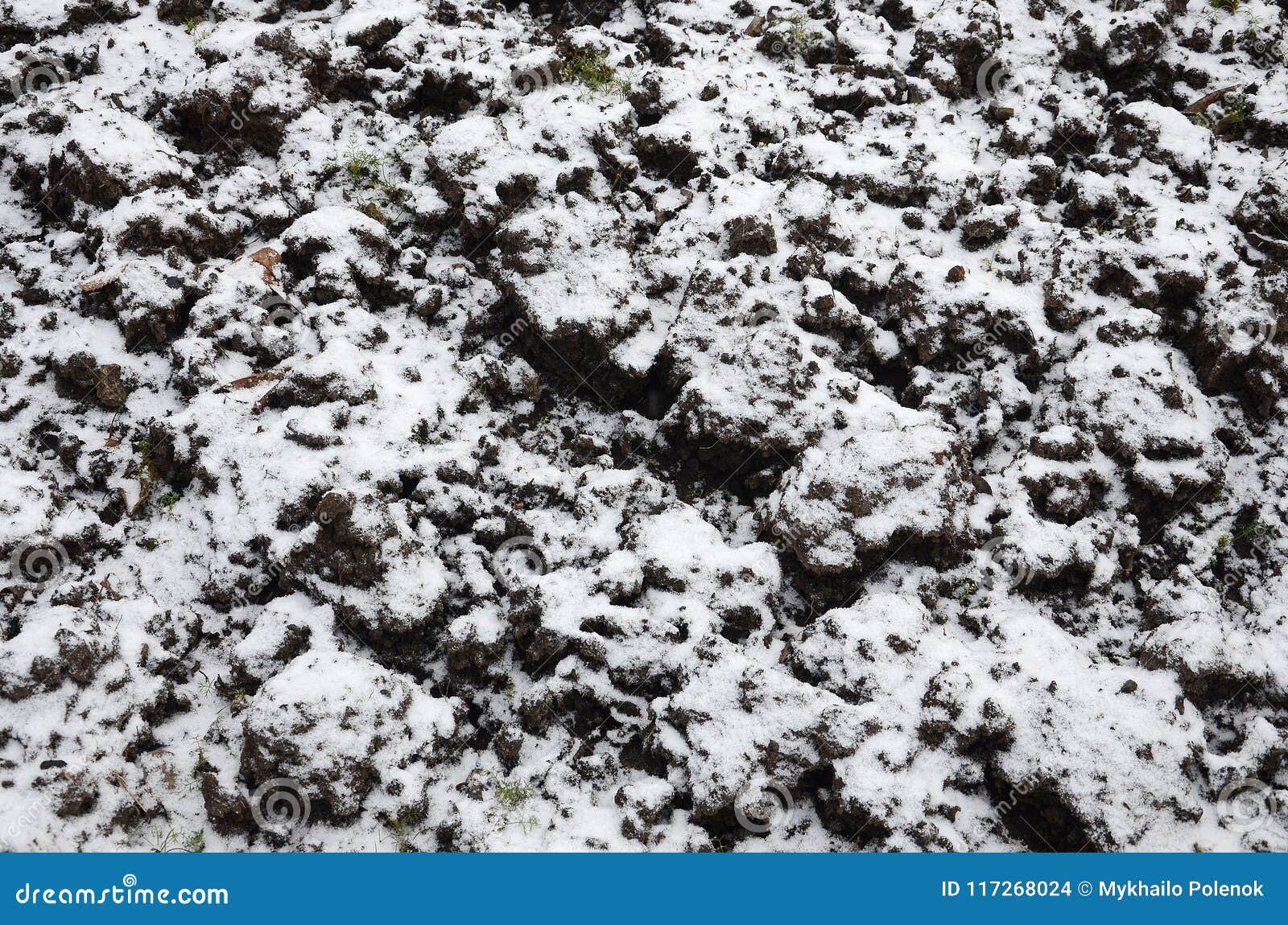 The Texture of the Ground, Covered with a Thin Layer of Snow. the Soil ...