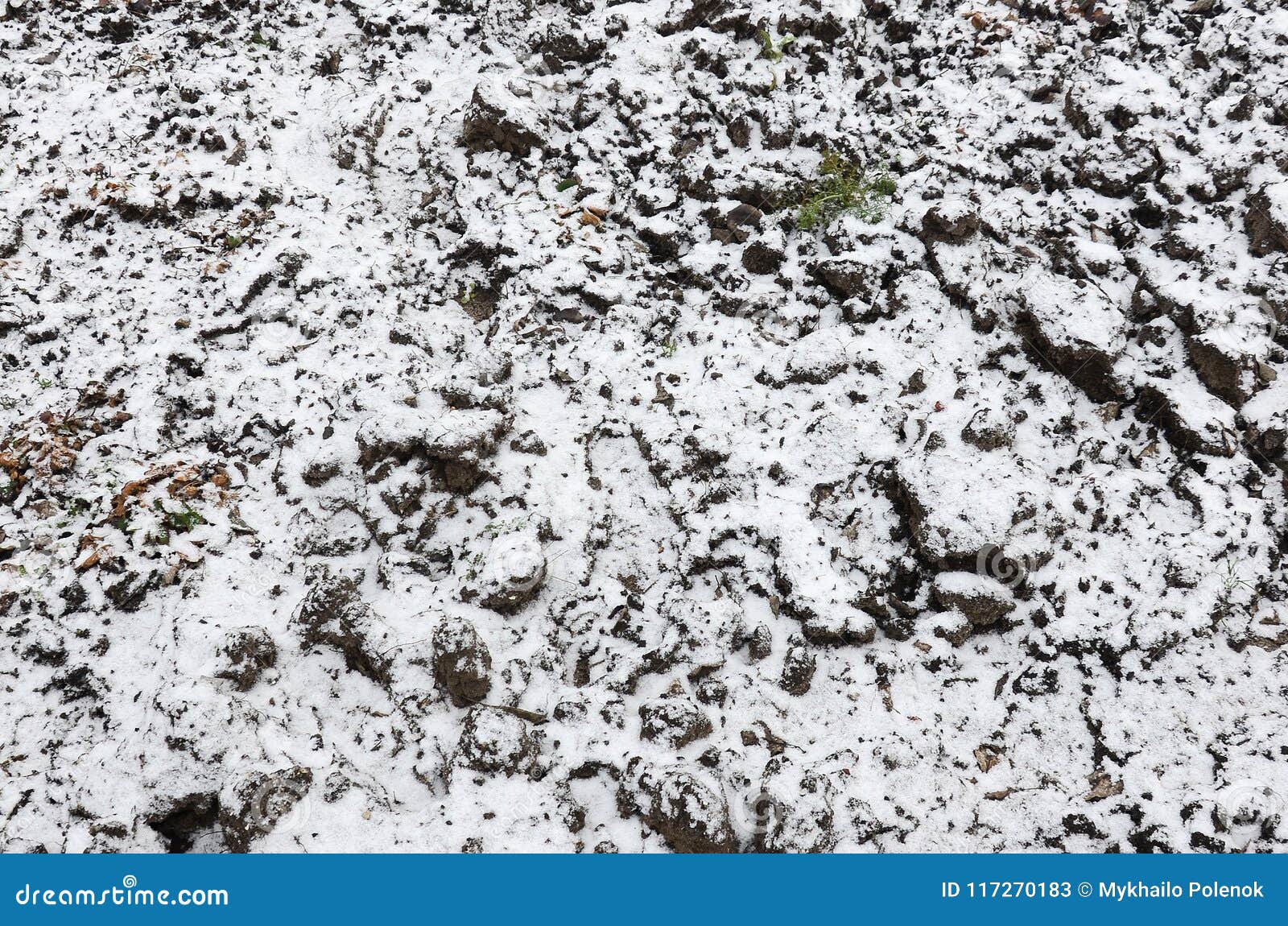 The Texture of the Ground, Covered with a Thin Layer of Snow. the Soil ...