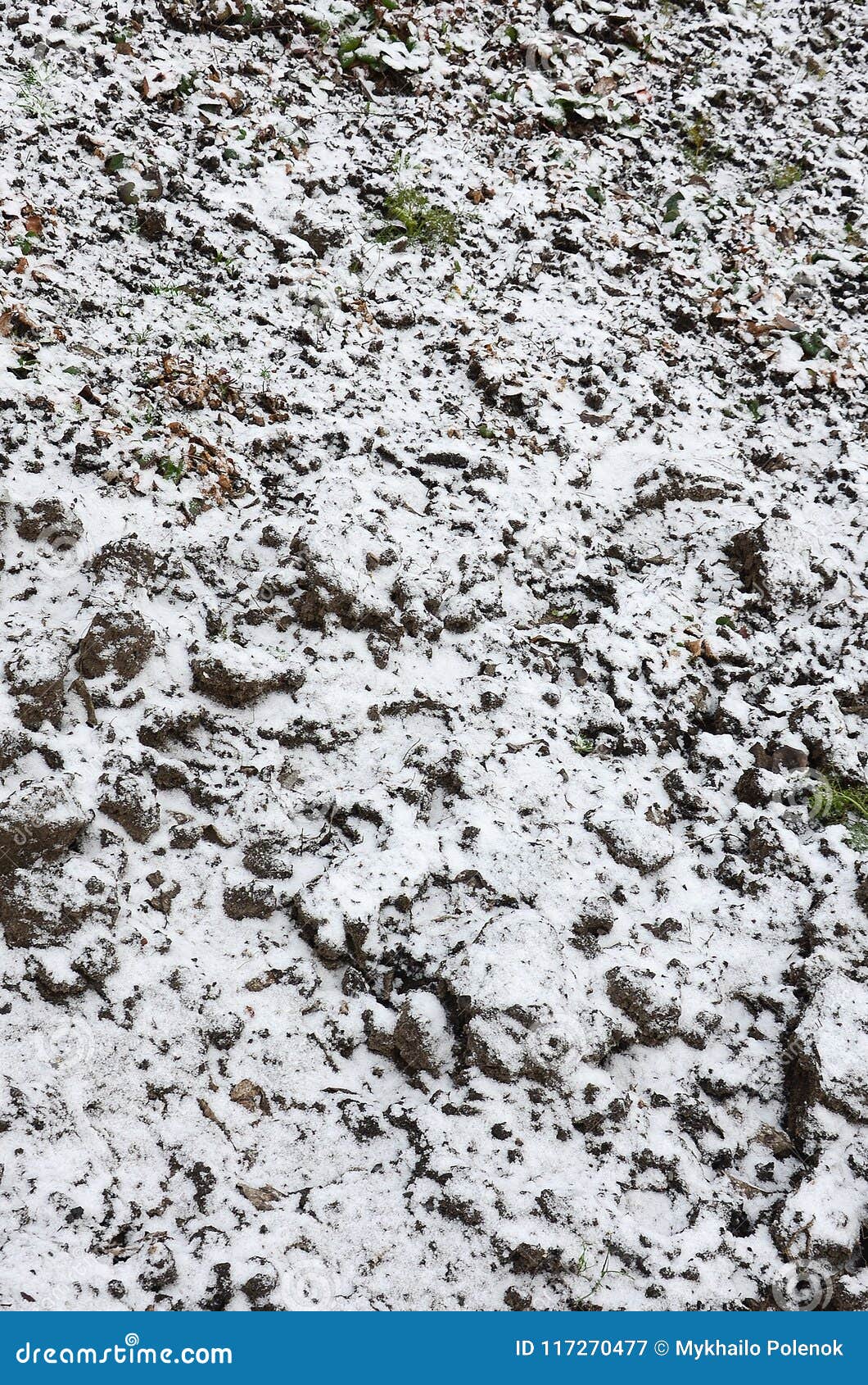 The Texture of the Ground, Covered with a Thin Layer of Snow. the Soil ...