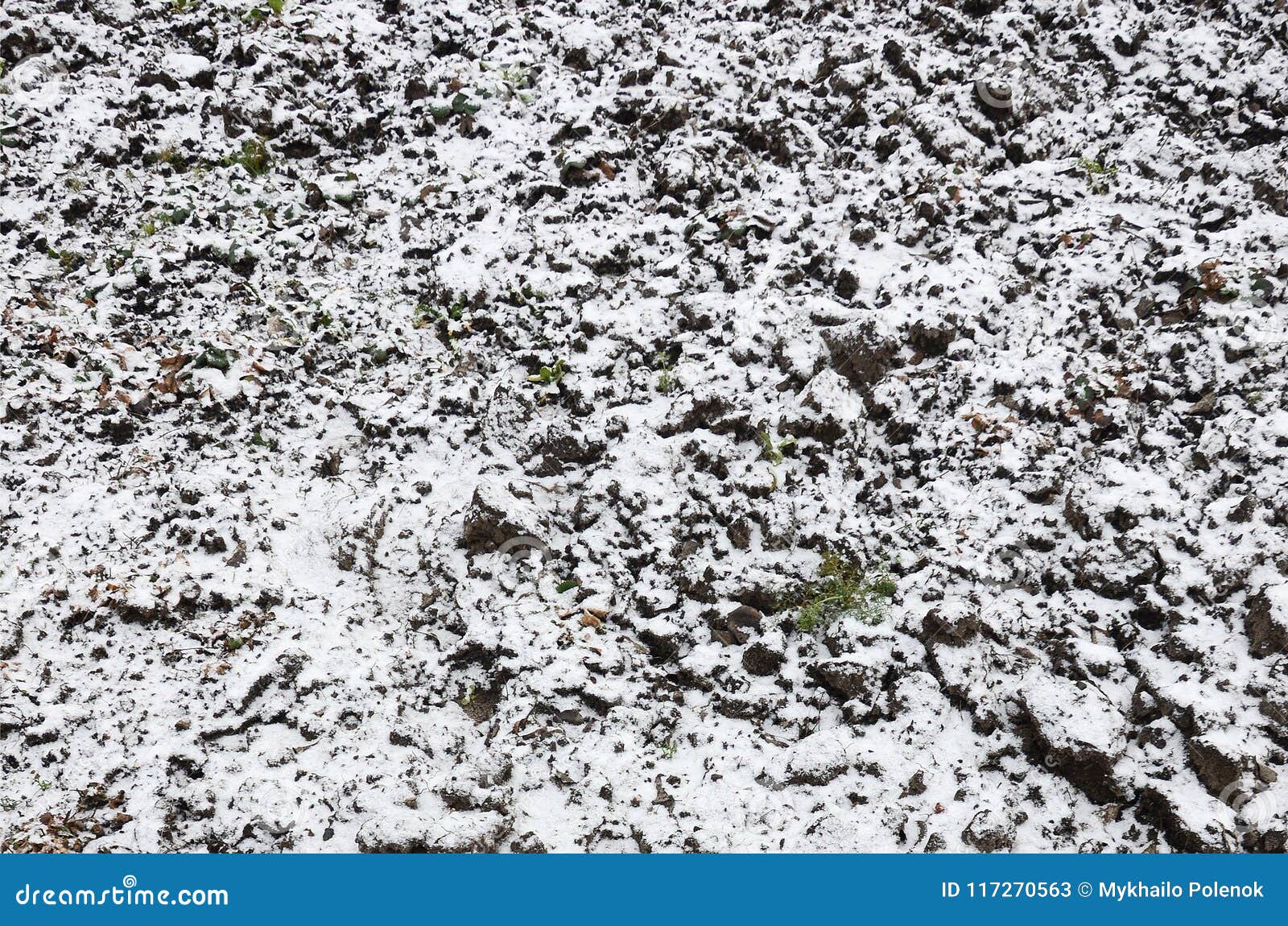 The Texture of the Ground, Covered with a Thin Layer of Snow. the Soil ...