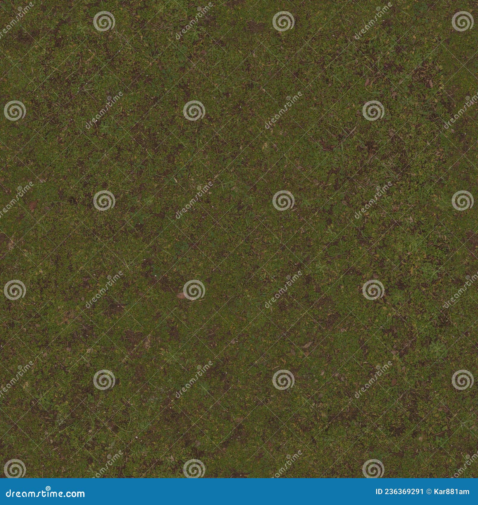 Texture Ground Dirt Forest. Nature Background Stock Image - Image of ...