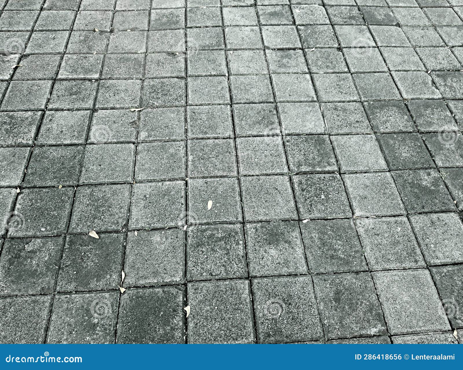 The Texture of the Ground Floor Stock Photo - Image of asphalt, drawn: 286418656