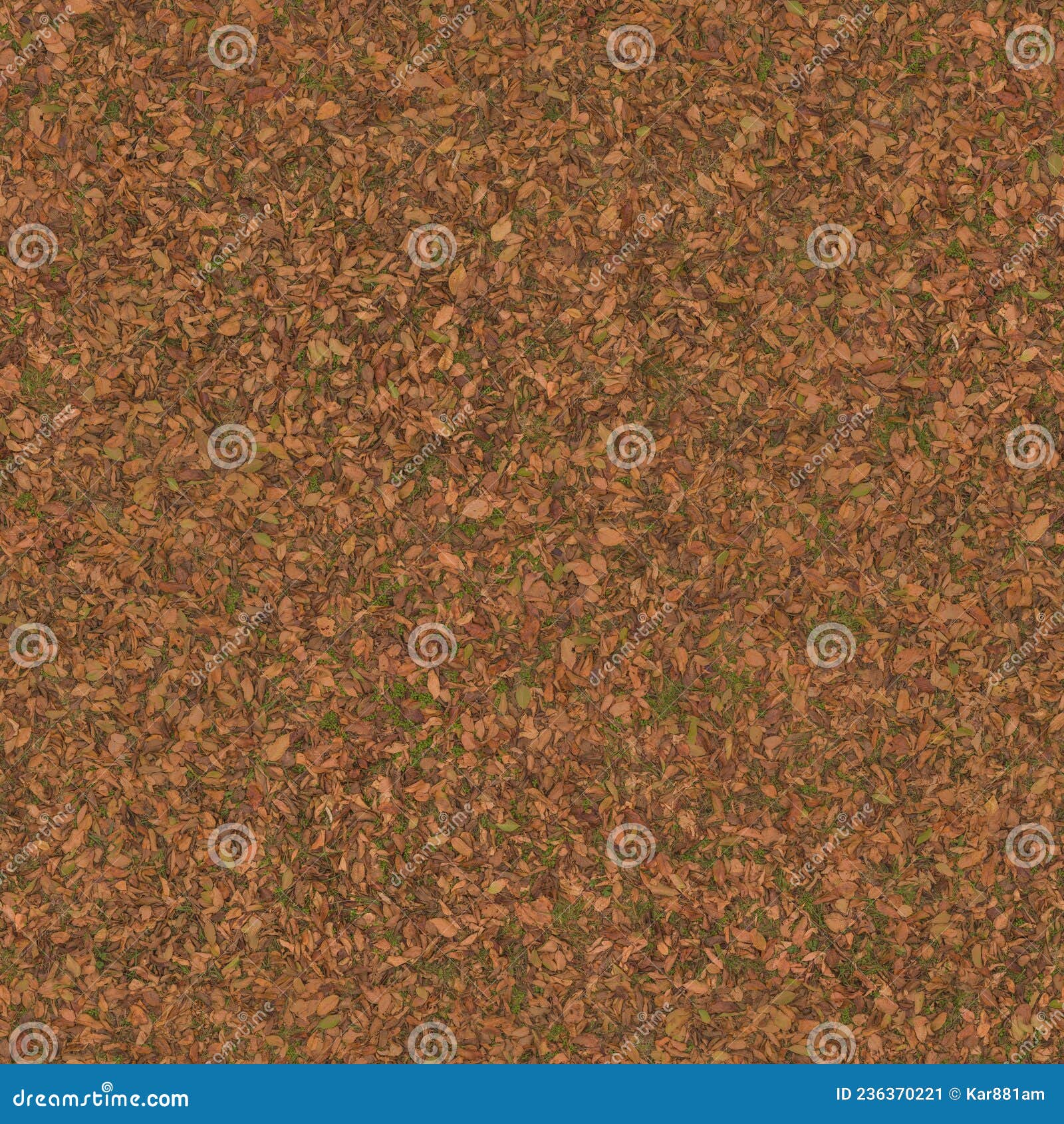 Texture Ground Leaves Dead. Nature Background Stock Image - Image of ...