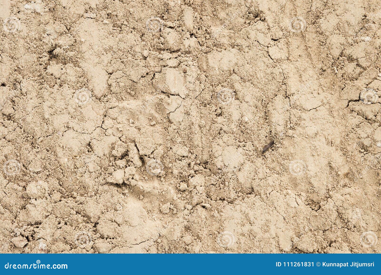 Texture Ground Soil Floor Background Stock Image - Image of grass ...