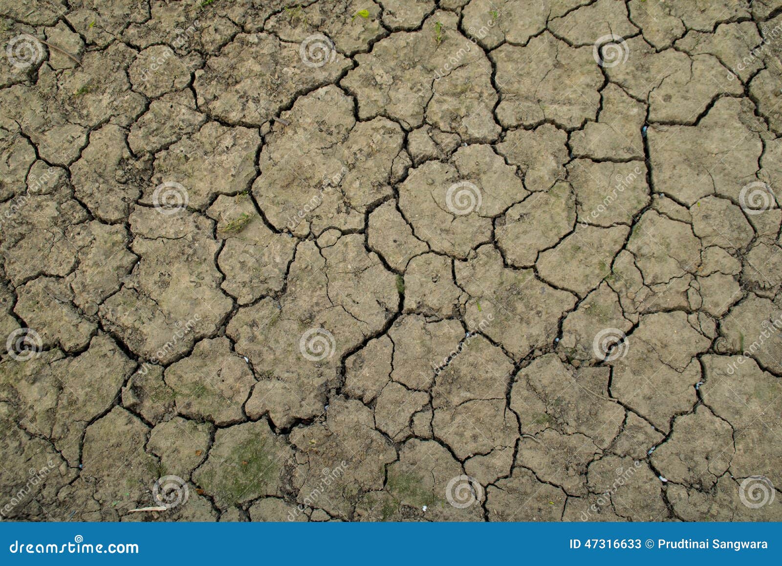 Texture Ground stock image. Image of wallpaper, crack - 47316633