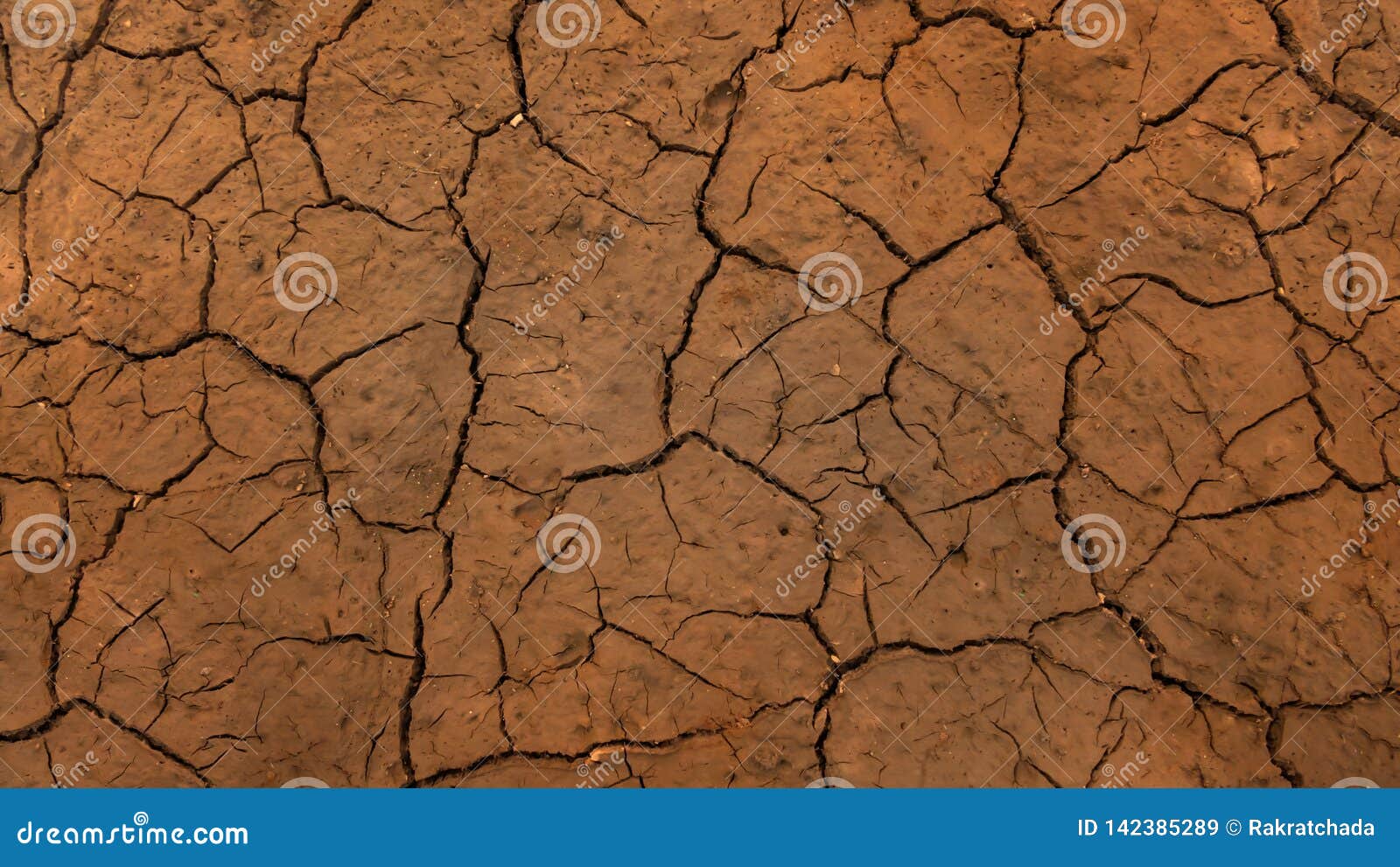 Texture of cracked soil stock image. Image of detail - 142385289