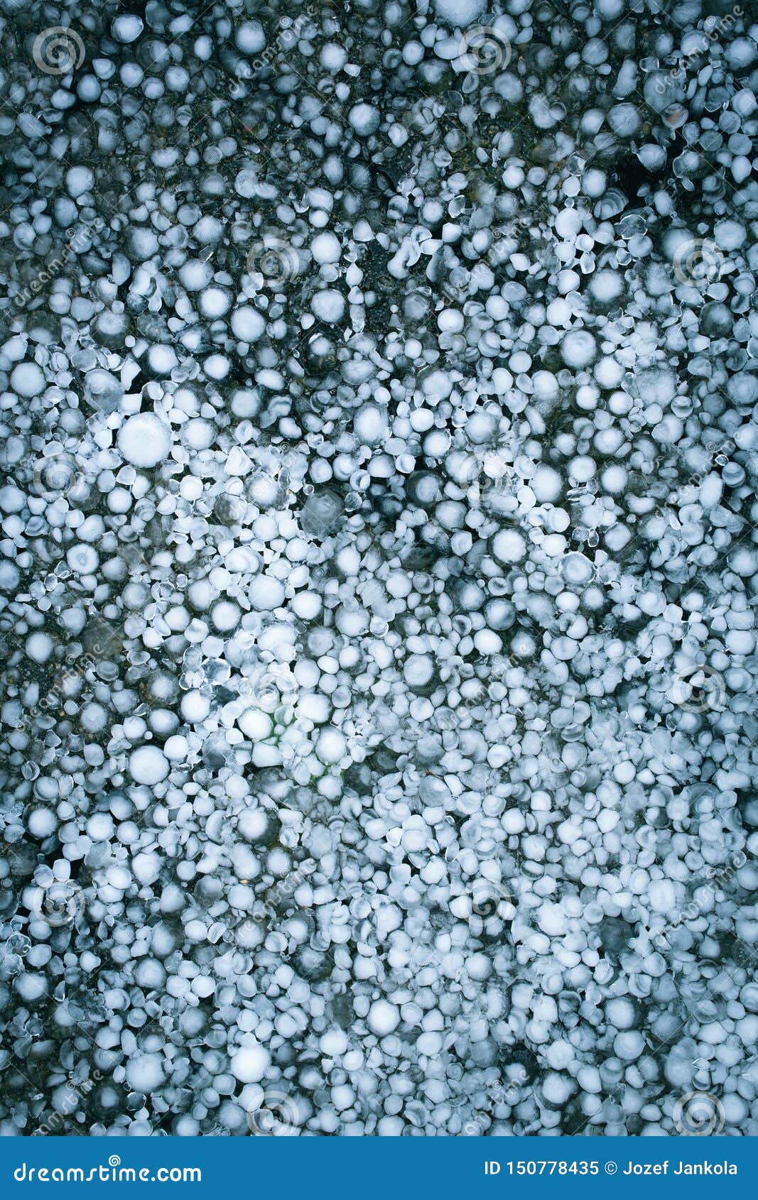 Texture of Hail after Storm Stock Image - Image of hailstorm ...
