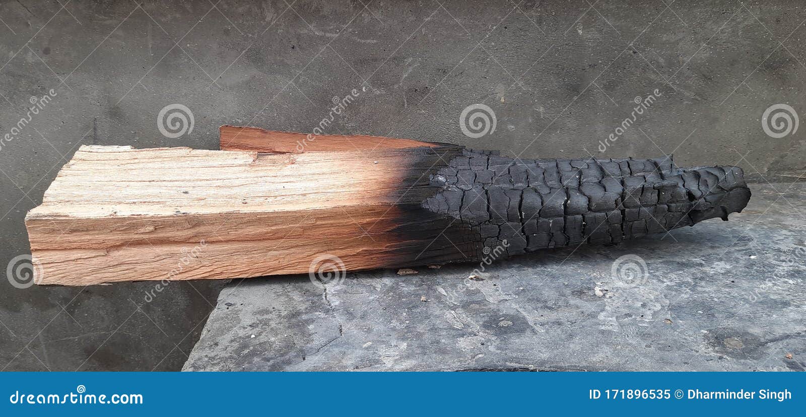 Burnt Wooden Log