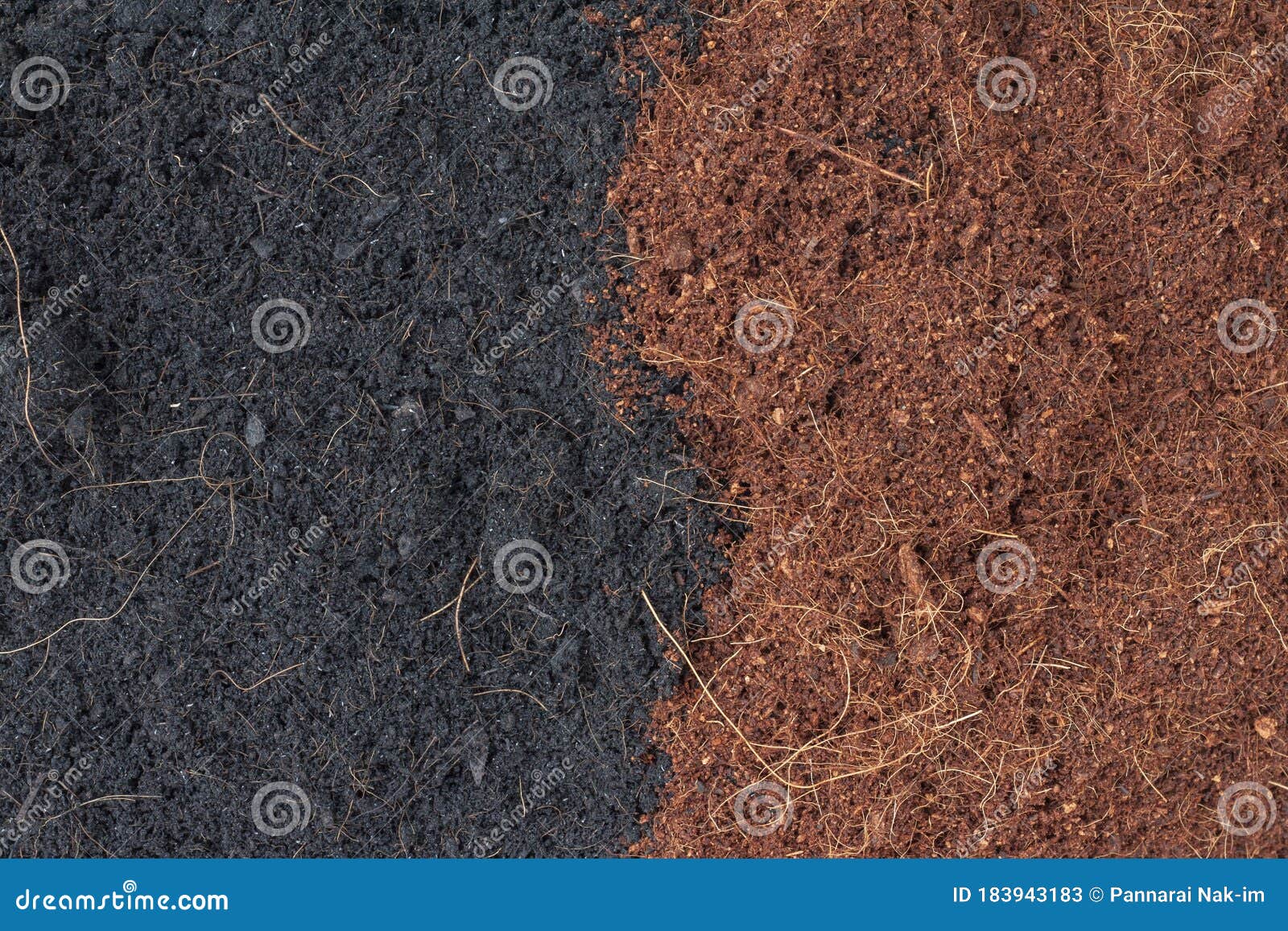 Texture of Soil and Coconut Dust for Growing Plants. Stock Image ...