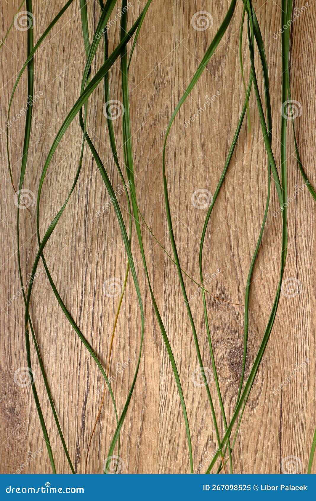 Texture of Hanging Grass on a Wooden Background Stock Image - Image of ...