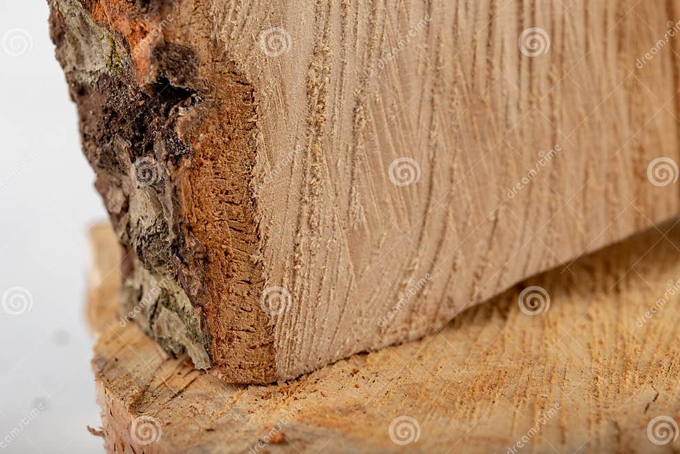 The Texture of Hardwood. Cross-section of a Beech Tree Trunk Stock ...